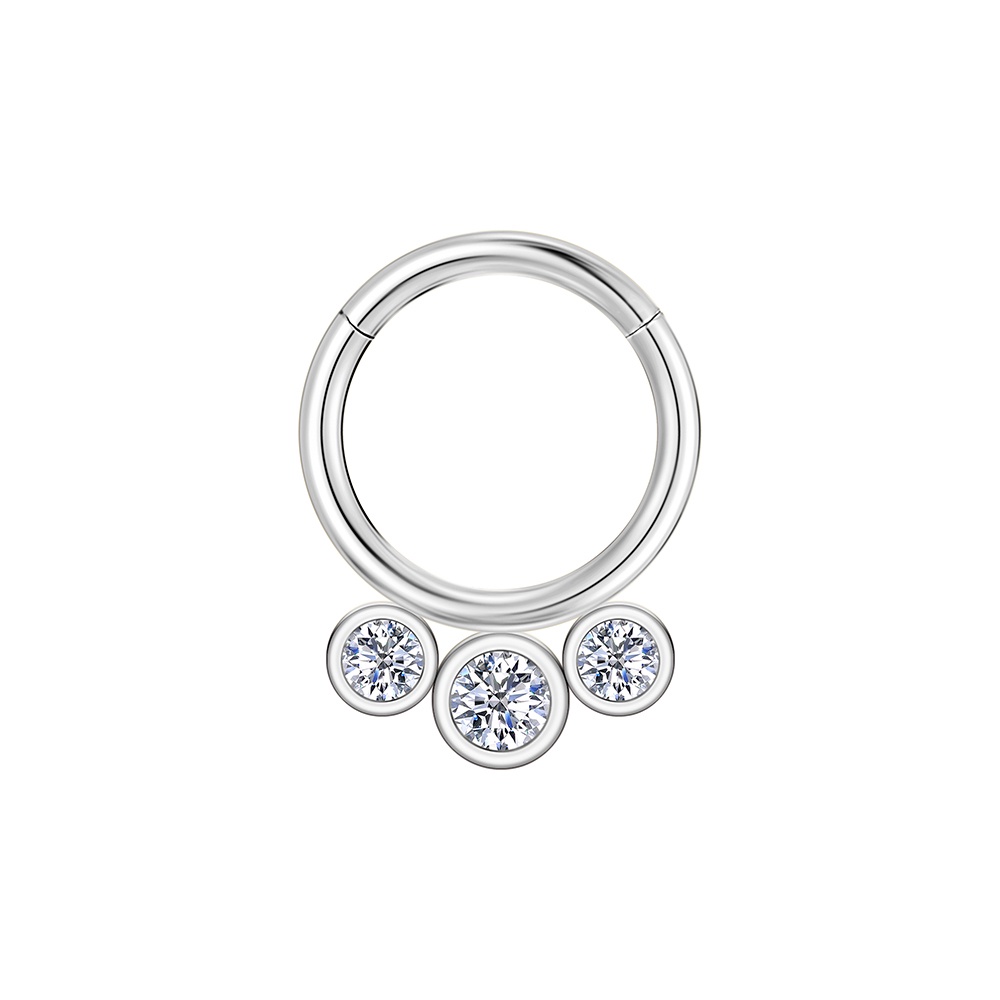 Piercing Argola Aço Cirúrgico Segmento Articulado Strass / Septril ...