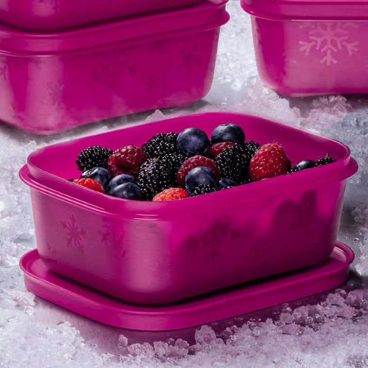 TUPPERWARE FREEZER LINE | Shopee Brasil