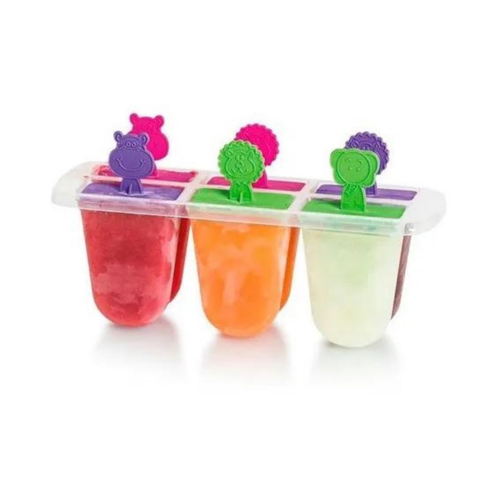 Forma De Sorvete Picolé Caseiro Palitos Bicholé Picoleteira Com 6 ...