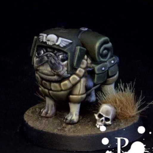 espaciais Pug Marine Miniatura para RPG BUDDY martelo de guerra 40k ...