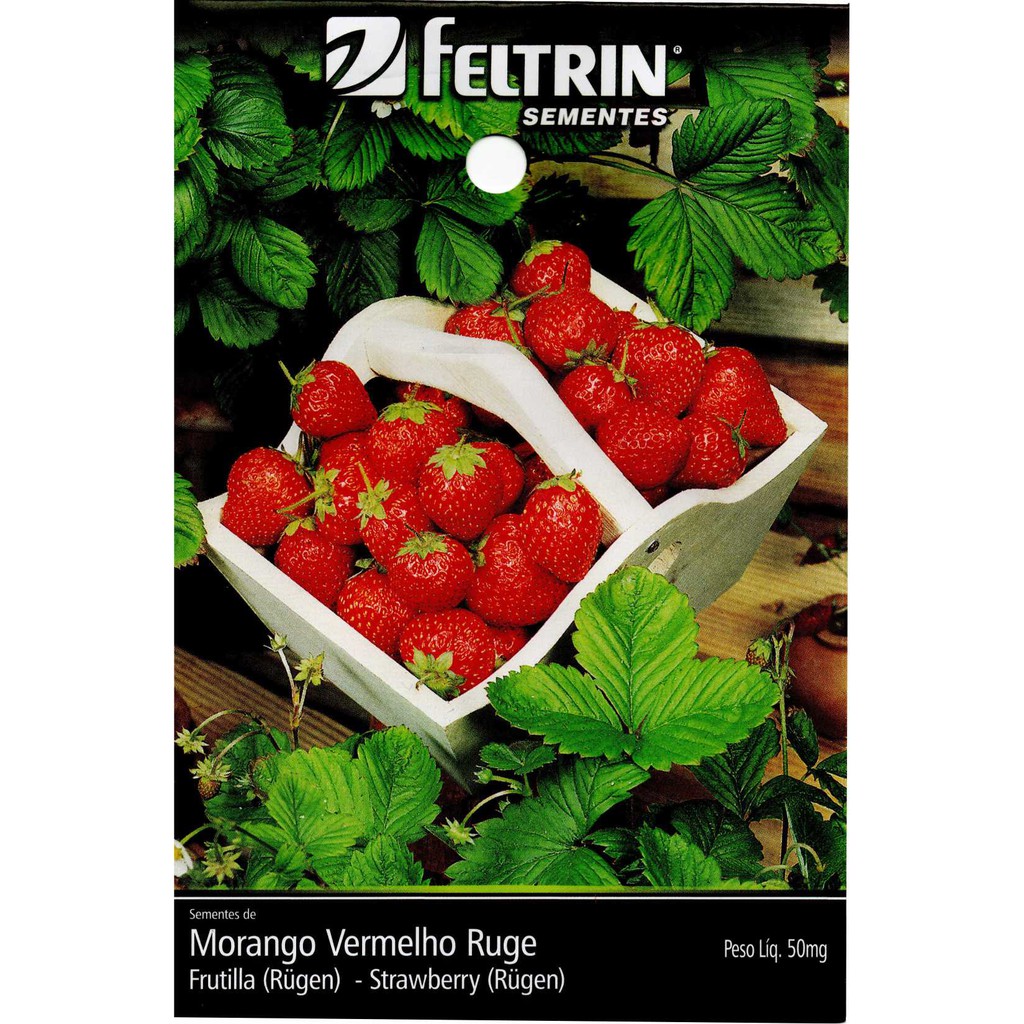 Sementes de Morango Vermelho Ruge - 150 unidades | Shopee Brasil