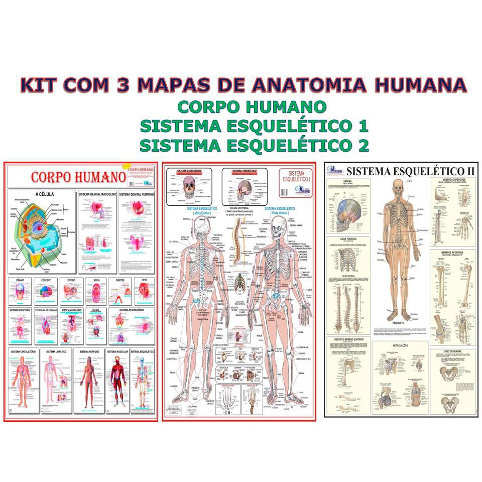 Kit Com 3 Mapas De Anatomia Humana - Gigantes !!! : Corpo Humano ...