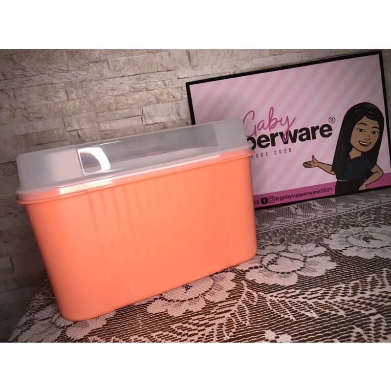 Visual Box com bandeja 4,5L | Shopee Brasil