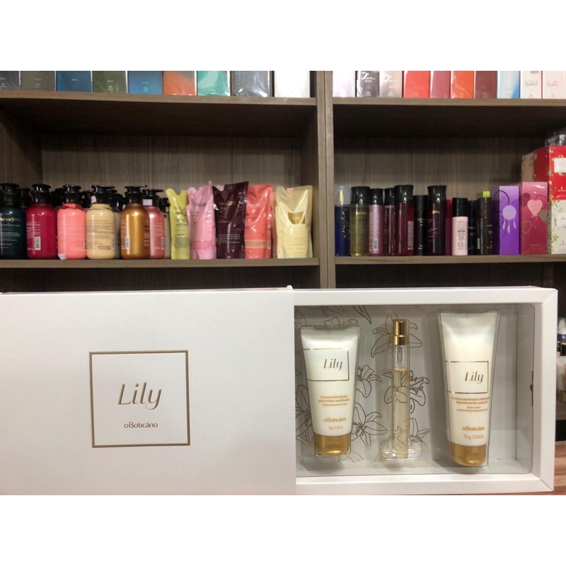 kit lily bolsa | Shopee Brasil