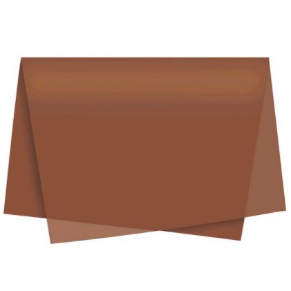 Papel Seda Colorido 48x60 Com 10 Unidades | Shopee Brasil