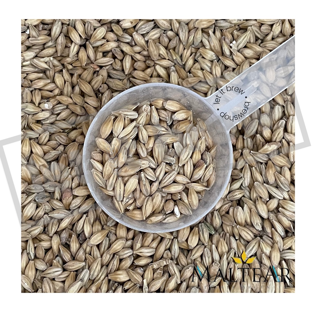 Malte Pilsen Argentino Maltear - 5KG | Shopee Brasil