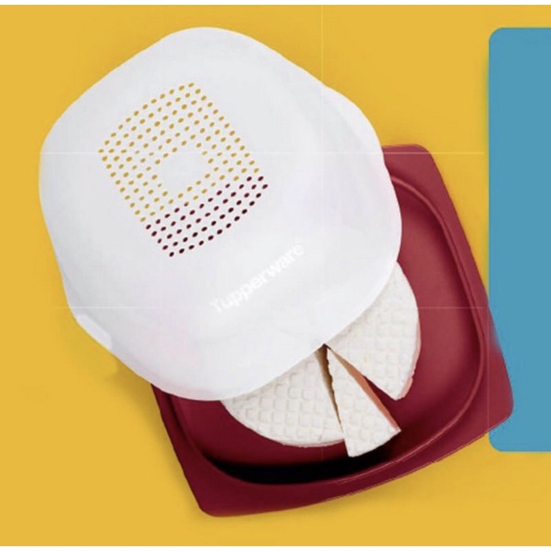 Smart Mini Queijeira Tupperware | Shopee Brasil