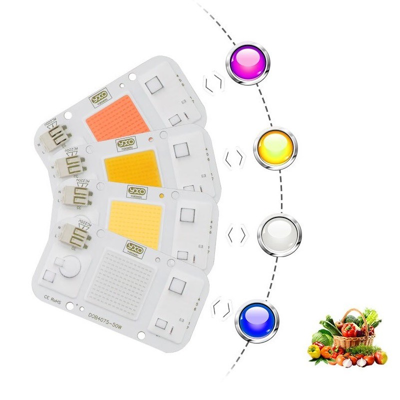 Chip Led Cob 50w 110v 220v Full Spectrum Branco quente 3500k Branco frio 6000k Azul Grow cultivo ...