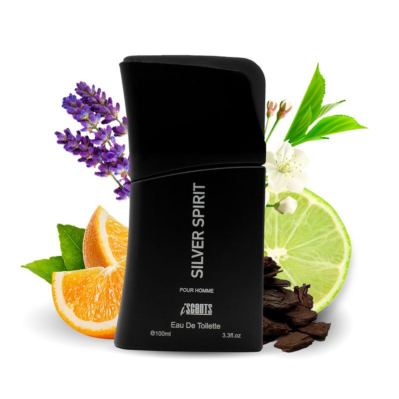 SILVER SPIRIT I SCENTS SEM TAMPA EDT MASC 100 ML | Shopee Brasil
