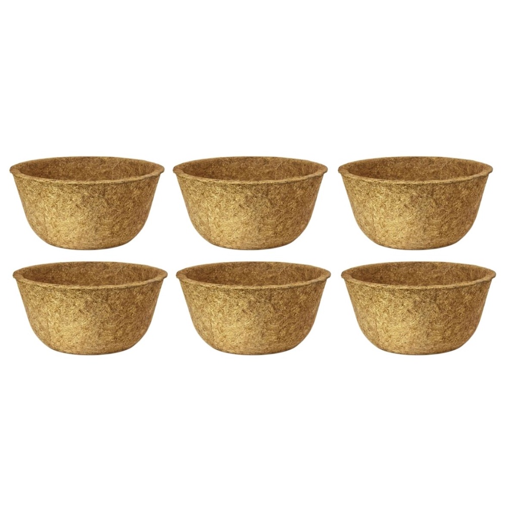 Kit 6 Vaso Cuia Xaxim de Fibra de Coco Ecológico Ideal Para Samambaia ...