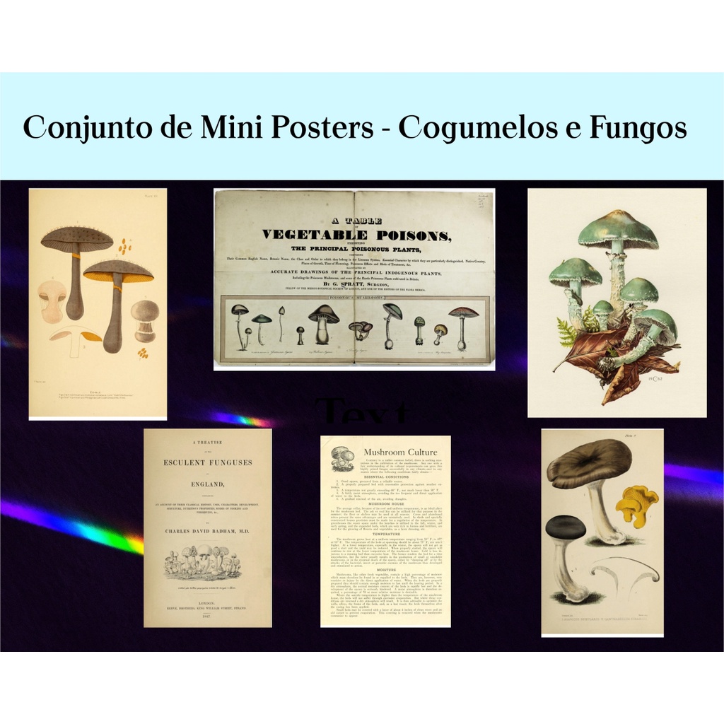 Mini Posters de Fungos e Cogumelos - Naturecore | Shopee Brasil