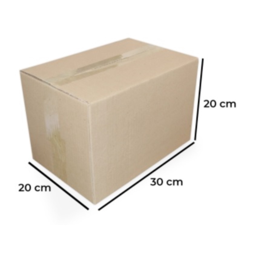 Caixa Tipo Maleta De Papelão Ondulado Média Resistentes 30x20x20 10 ...