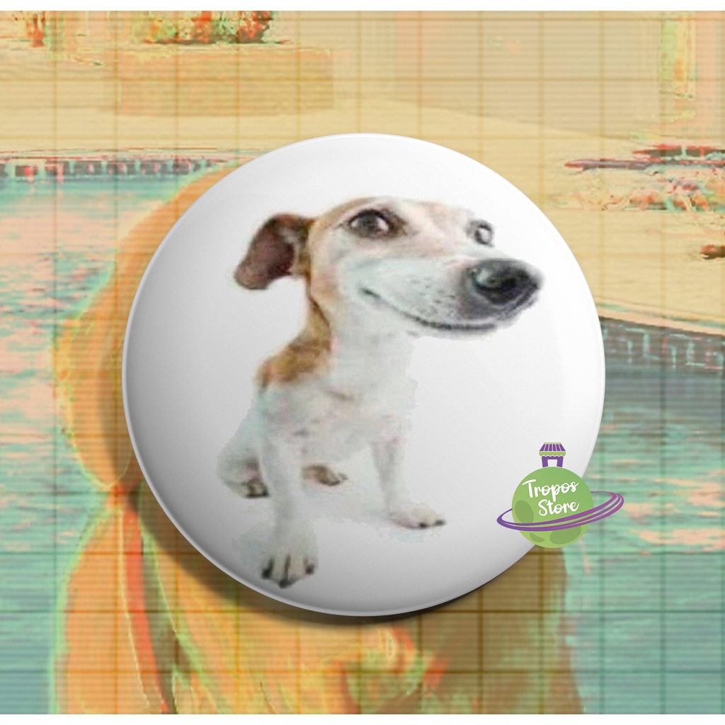 Bottons Memes de Cachorro - Dog meme - Doge | Shopee Brasil