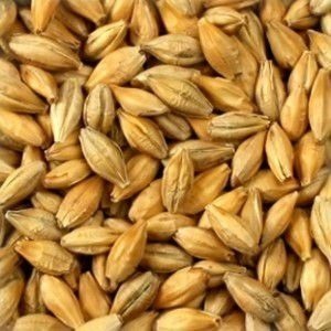 Malte Pilsen 1kg - Cerveja Artesanal | Shopee Brasil