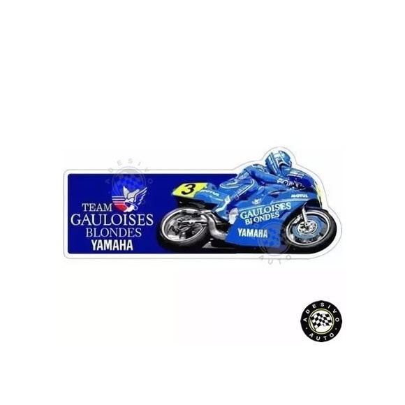 Adesivo Team Gauloises 500cc | Shopee Brasil