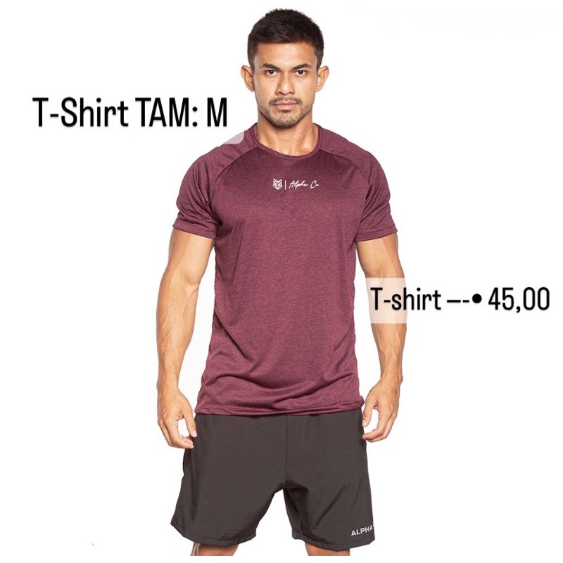 Camiseta Alpha Co Dry Fit New Elite Mescla Vinho | Shopee Brasil