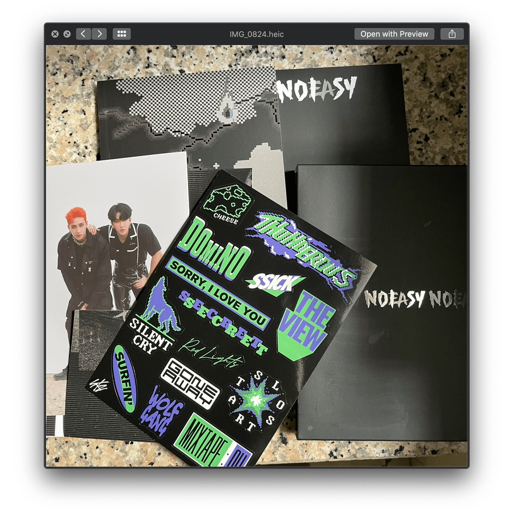 STRAY KIDS NOEASY NO EASY LIMITED VERSION ALBUM Apenas | Shopee Brasil