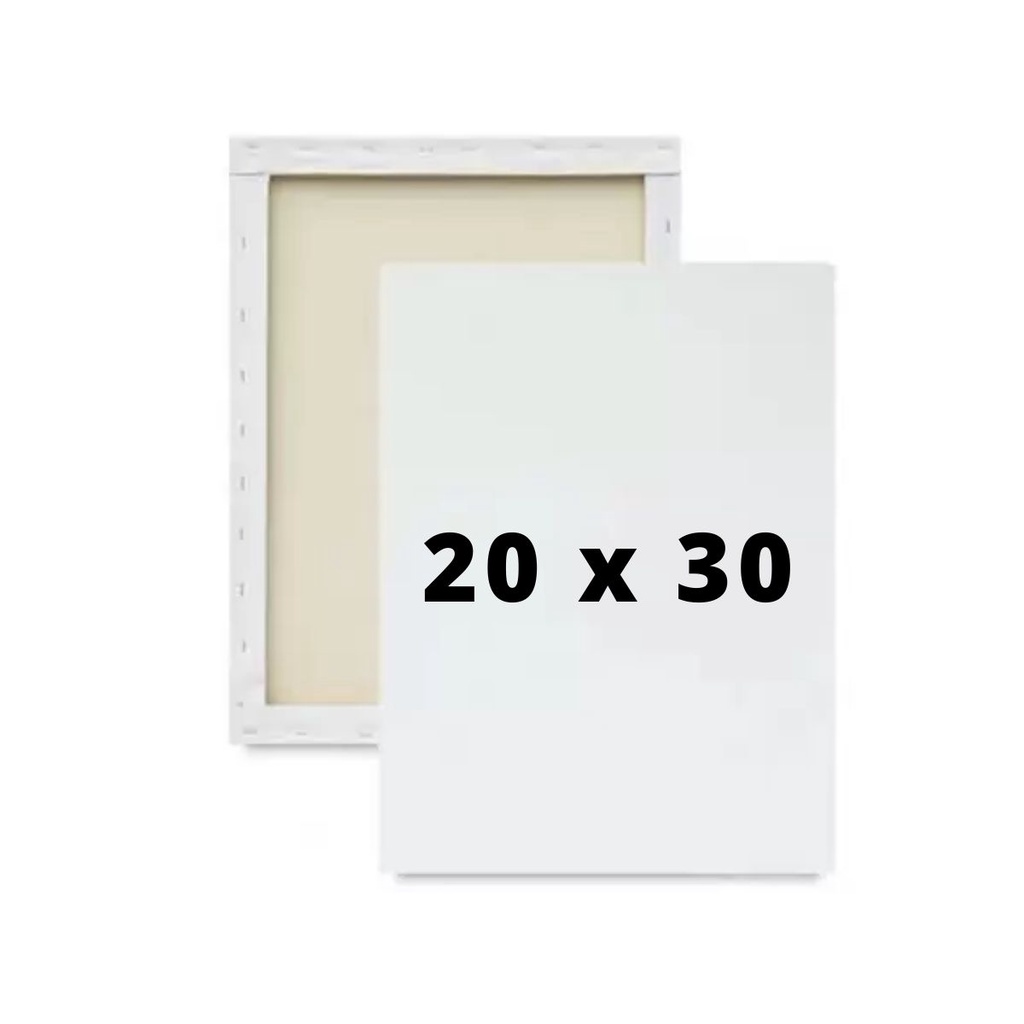 Tela de Pintura 20x30 cm - 1 Unidade | Shopee Brasil