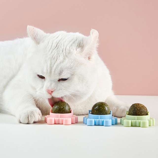 Brinquedos Para Gato 5 Bolinhas Bolas Com Catnip Comestivel | Shopee Brasil