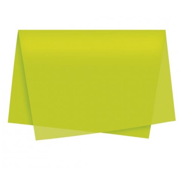 Papel Seda Colorido 48x60 Com 10 Unidades | Shopee Brasil