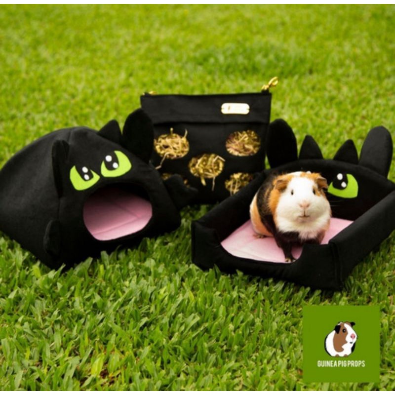 kit p/ Porquinho da Índia (toca + cama + p. feno) Banguela | Shopee Brasil