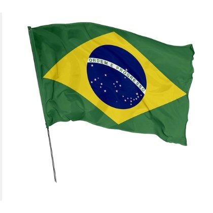 Bandeira Grande Brasil 90 x 55cm | Shopee Brasil
