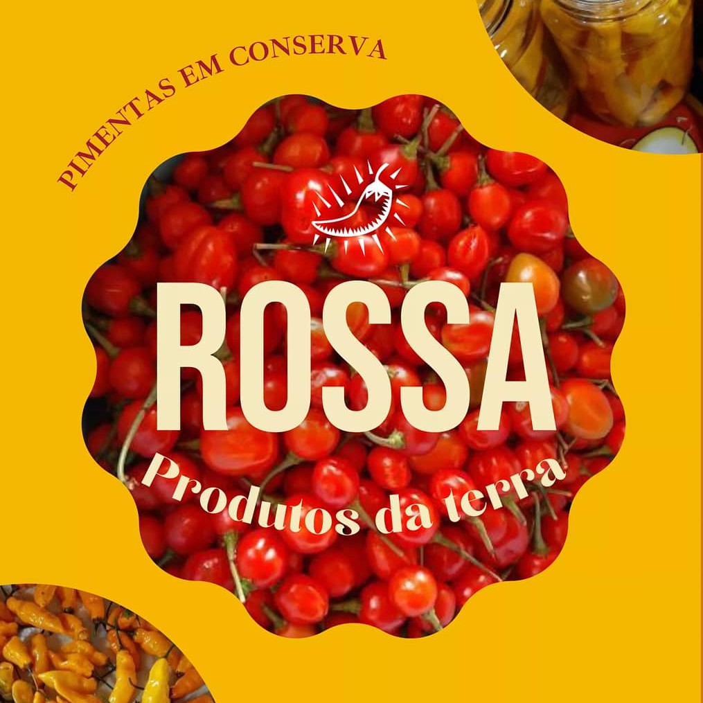 PIMENTA EM CONSERVA 500G | Shopee Brasil