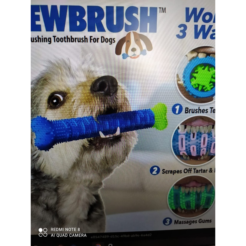 Mordedor Osso Removedor de Tártaros Para Cães – Chewbrush | Shopee Brasil