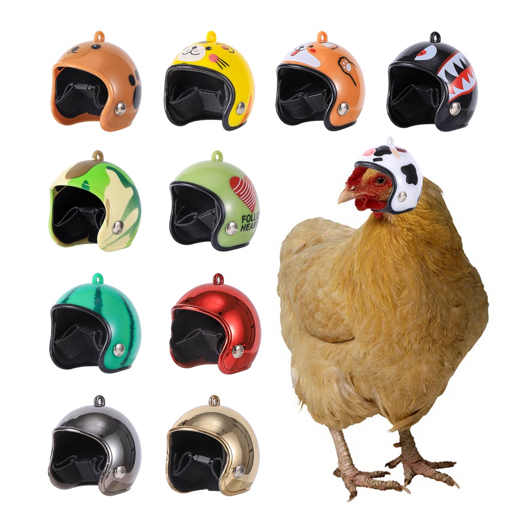 Capacete De Frango Pequeno Animal De Estimação Chapéu Duro Pássaro ...