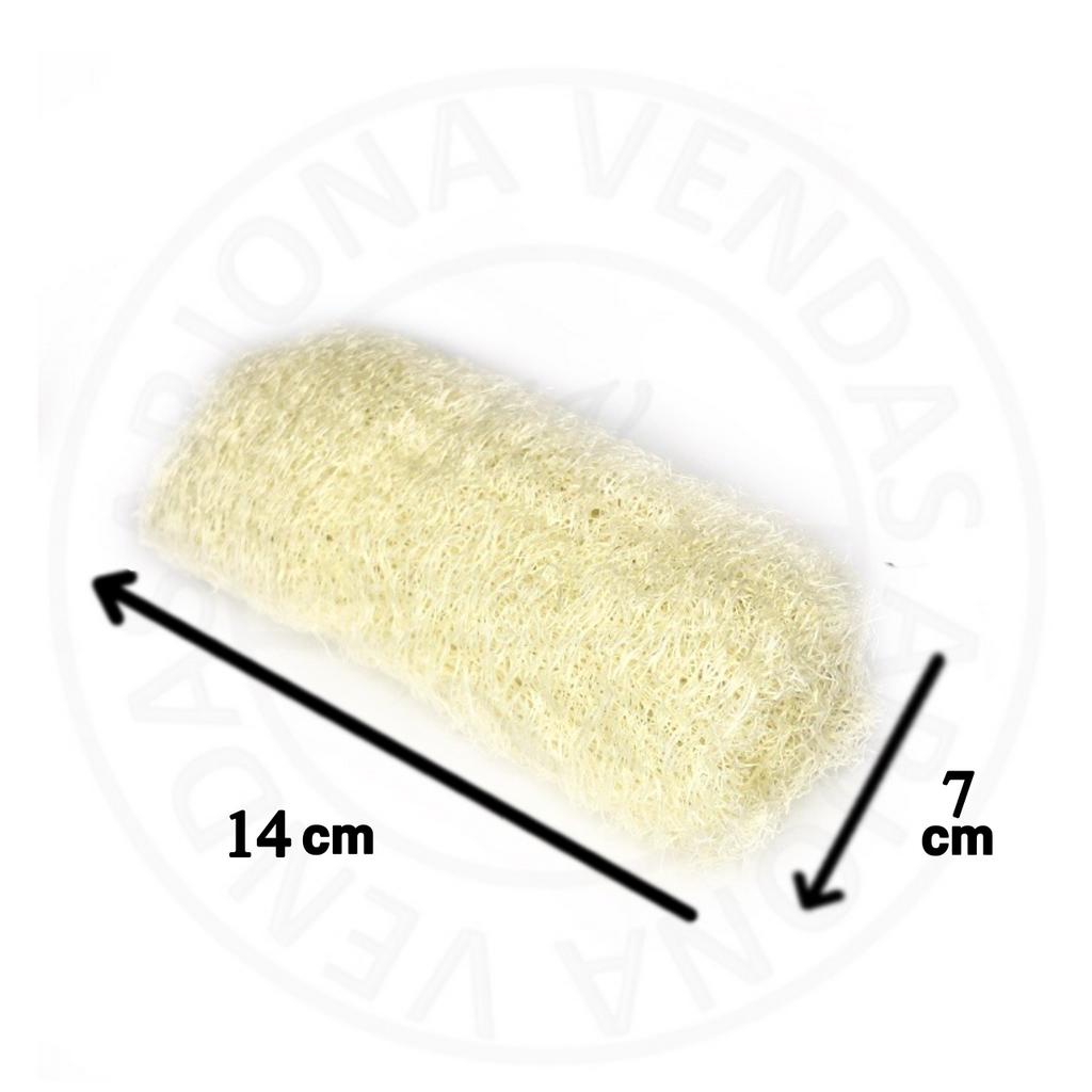 Bucha Vegetal Grande 2 unidades 100% Natural E Bucha Vegetal Slim 3 ...