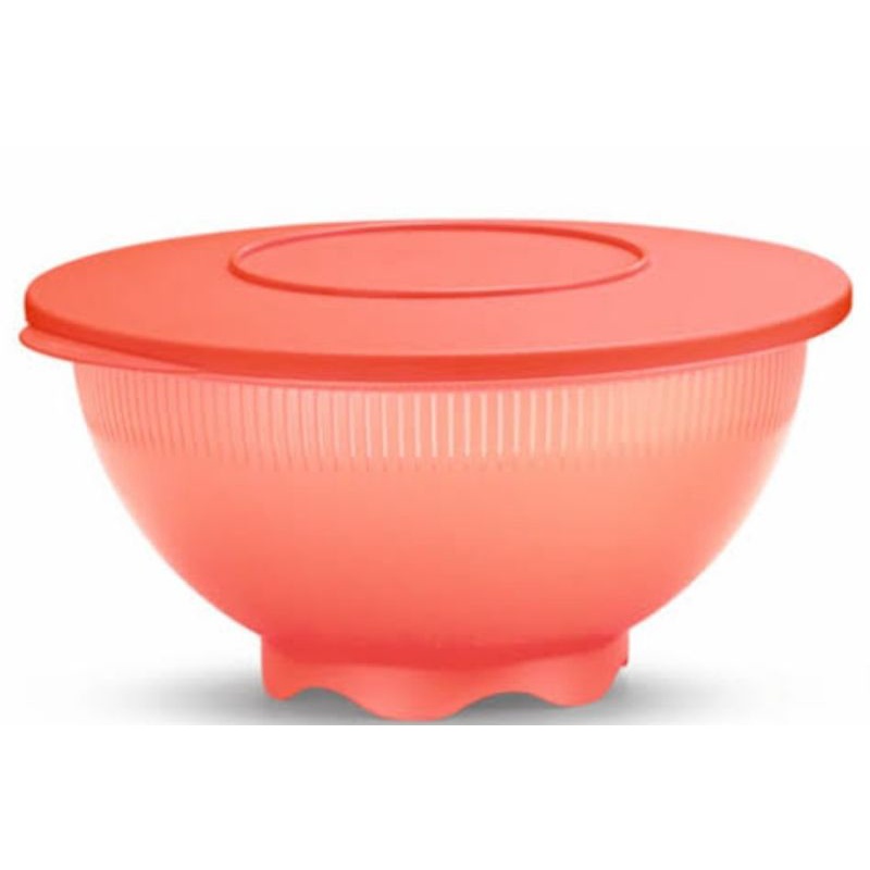Tupperware Lava Arroz ou Mini Escorredor Multiuso | Shopee Brasil