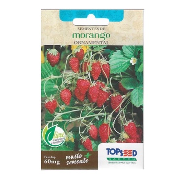 Semente De Morango Doce Ornamental Silvestre 350 Sementes | Shopee Brasil