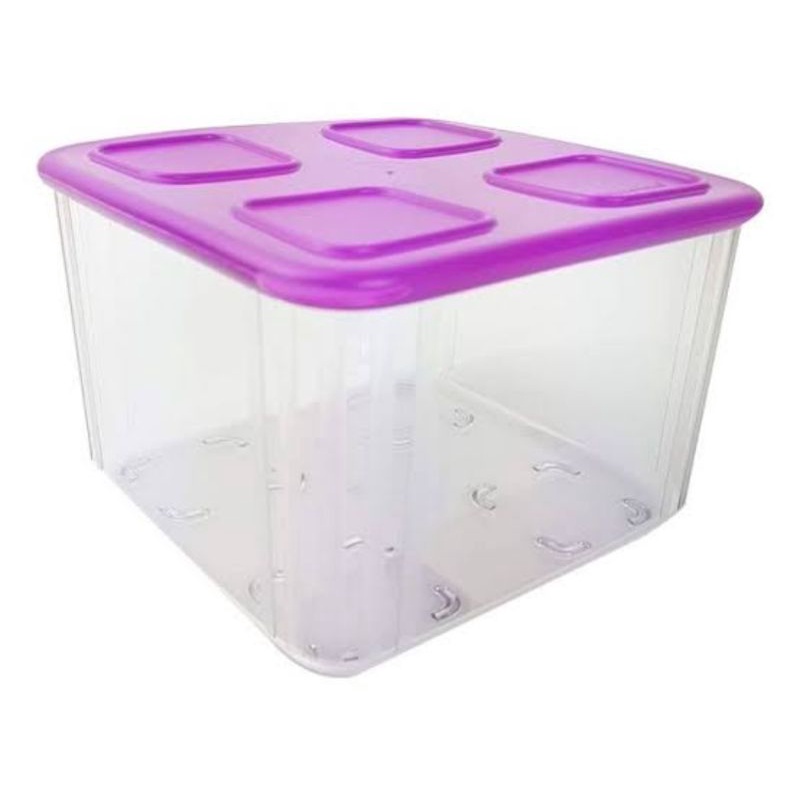 Tupperware Clear Mate Quadrado 1,62 litro | Shopee Brasil