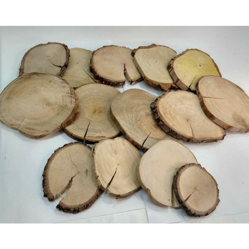 Kit 10 bolacha de madeira natural RACHADA IRREGULAR e CHANFRADA tamanho ...