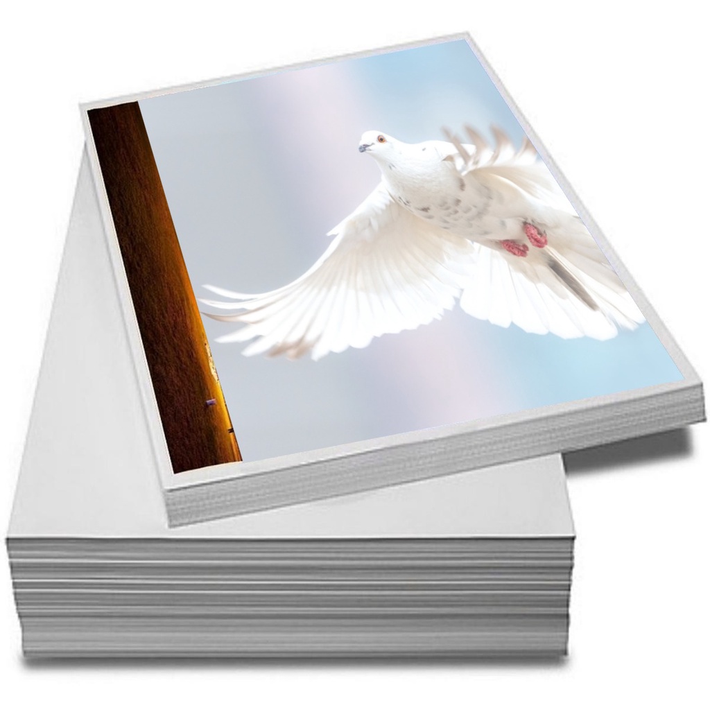 Papel Fotográfico Dupla Face A4 160g Glossy 20 Folhas | Shopee Brasil