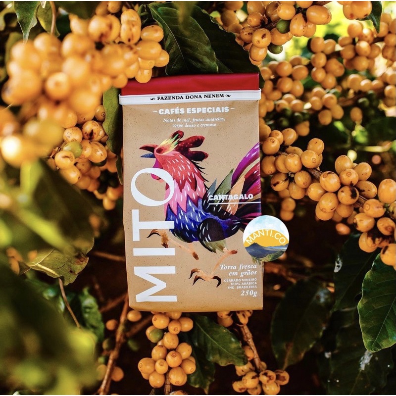 Café Mito Cantagalo - 250g ou capsulas Nespresso | Shopee Brasil