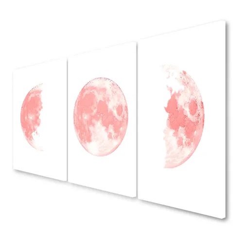Quadros Decorativos Para Sala Quarto Fases Da Lua Rose | Shopee Brasil