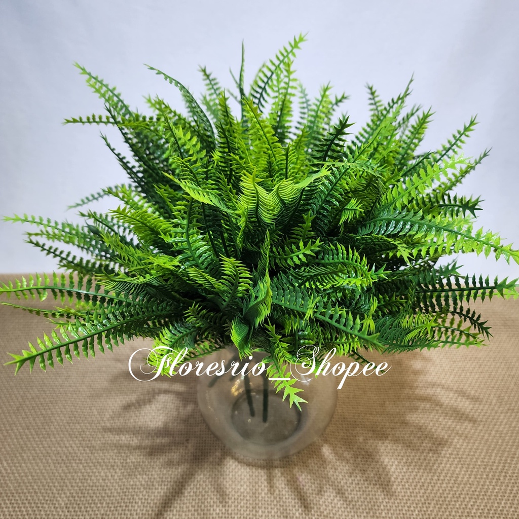 Plantas Matinho de folha Samambaia Artificial Floral Folhagem P ...