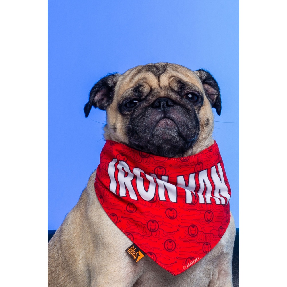 Bandana Pet Iron Man , Homem de Ferro PitPet Piticas | Shopee Brasil
