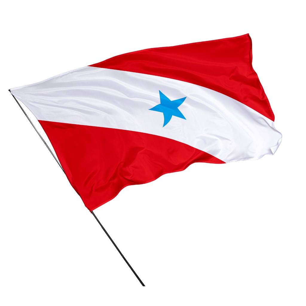 Bandeira Do estado do Pará | Shopee Brasil