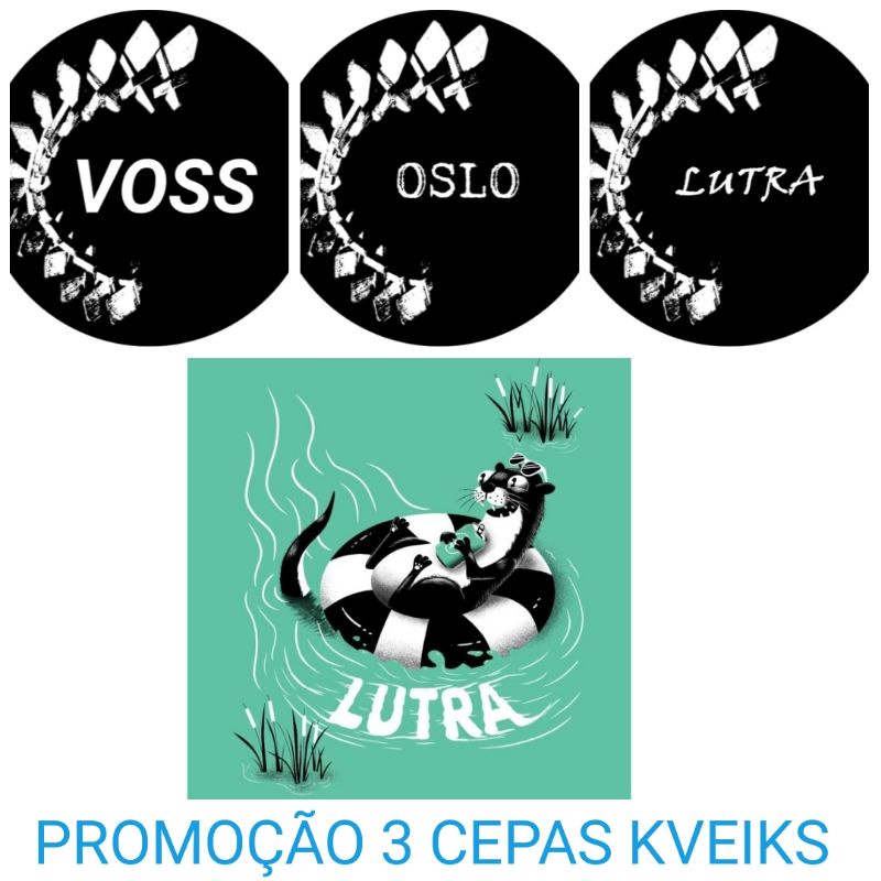 3 CEPAS DE KVEIK DIFERENTES | Shopee Brasil