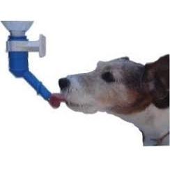 Bico Automático Para Cães e Gatos Bico Para Garrafa Pet | Shopee Brasil