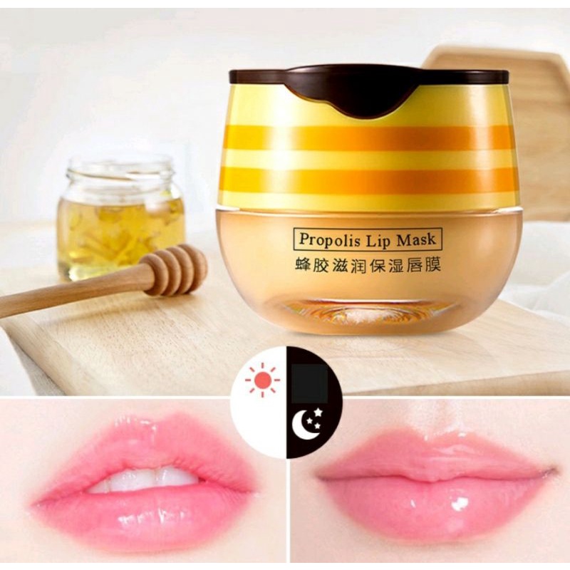 Lip Balm hidratante labial restaurador pote de mel | Shopee Brasil