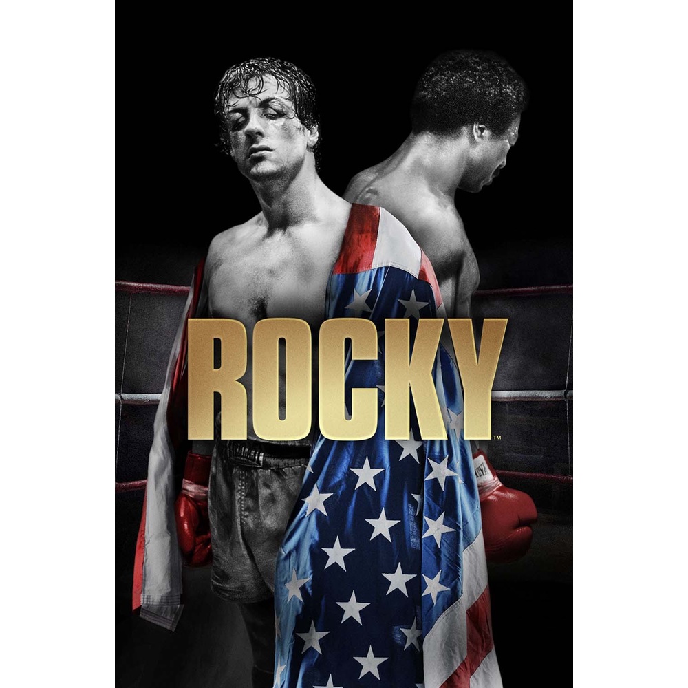 Poster em Adesivo do Filme Rocky Diversos Modelos e Tamanhos | Shopee ...