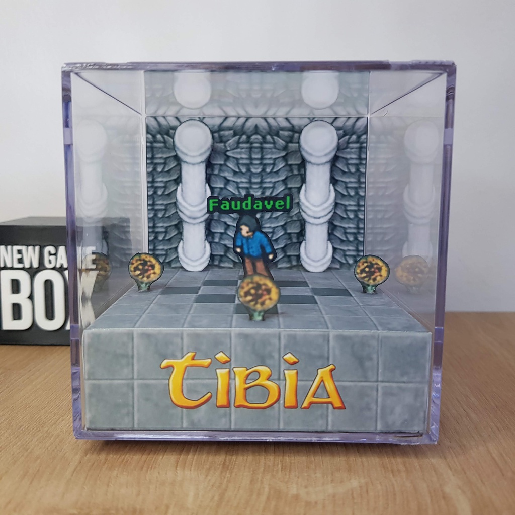 Diorama Cubo - Tibia, Nick Personalizado | Shopee Brasil