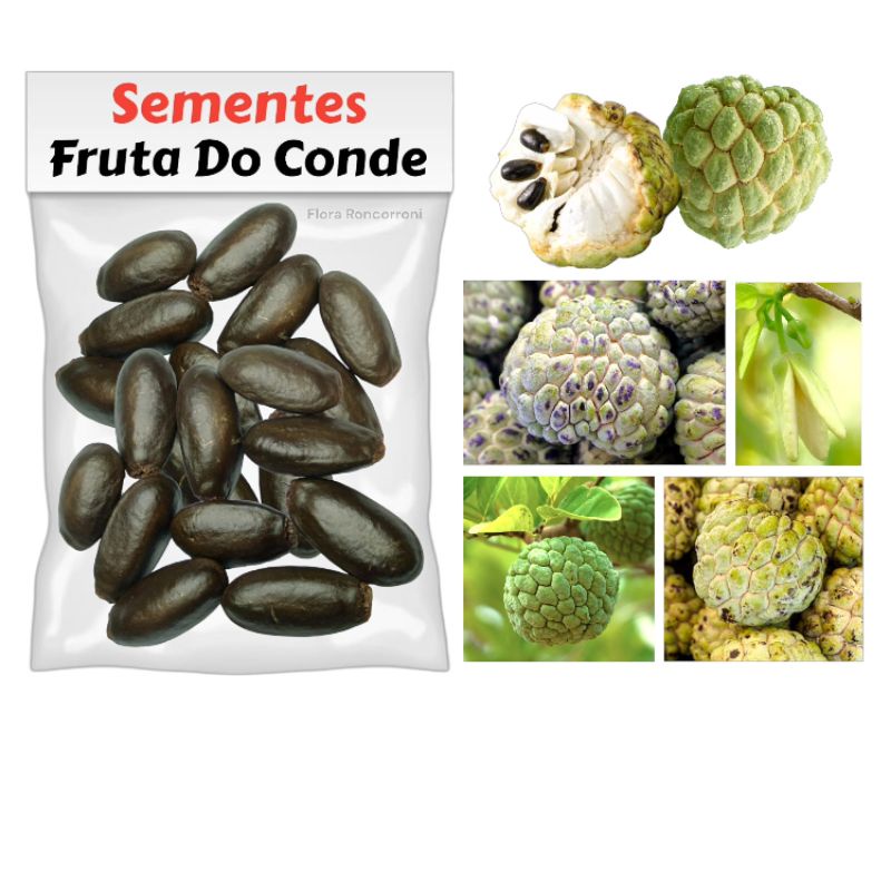 15 Sementes Fruta Do Conde - Annona Squamosa - Pinha Gigante | Shopee ...