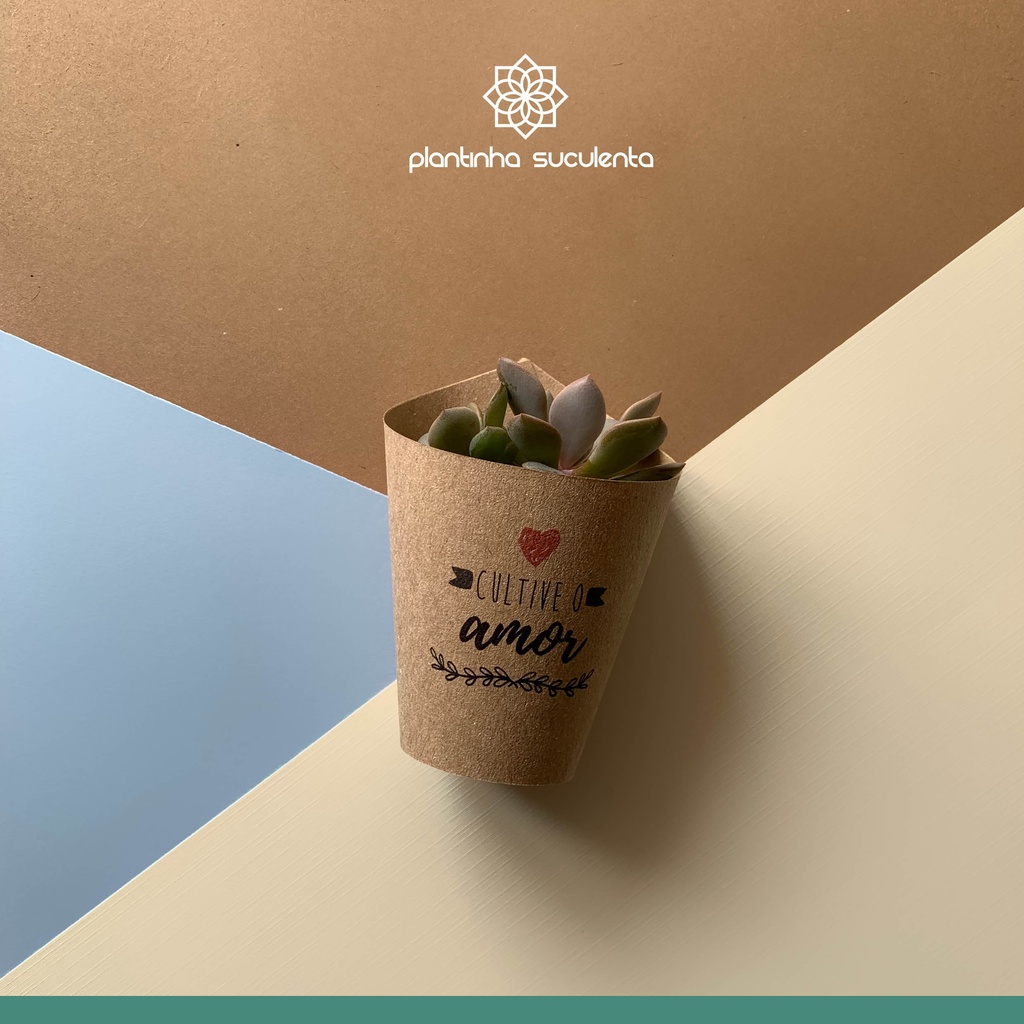 Rótulos Para Suculentas + Tag Personalizadas - 30 unidades MONTADO ...