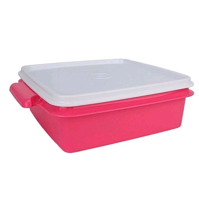 Pote Armazenagem Tupper Pote 780ml Tupperware | Shopee Brasil
