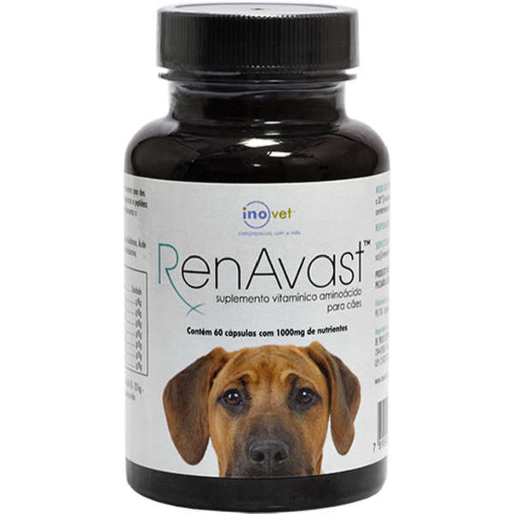 Renavast Cão 1000mg 60 Comprimidos Inovet Efeito Anti Inflamatório ...