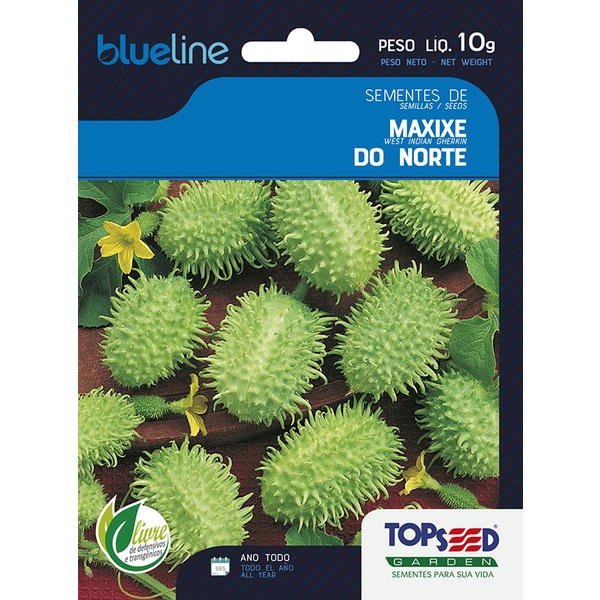 Sementes de Maxixe do Norte 10 Gramas Blue Line Topseed Garden | Shopee ...